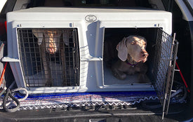 Easy Loader Kennels | Custom Molding Services, Inc.