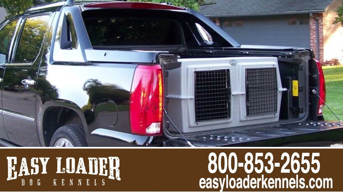 Easy Loader Kennels | Custom Molding Services, Inc.