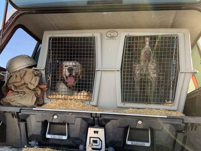 The EZ-XL – Easy Loader Kennels
